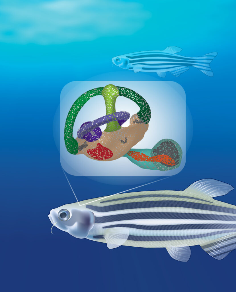Resources - The Jimenez Lab at JHU